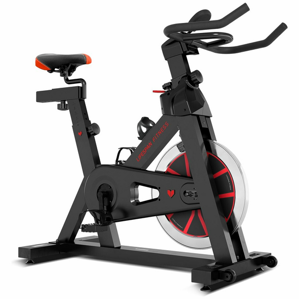 Lifetime stationary bike